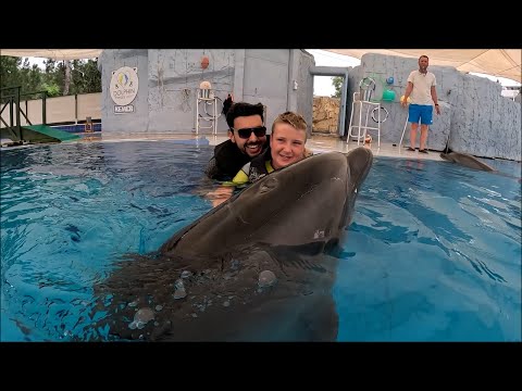 Dolphin Therapy Land ( Noud )