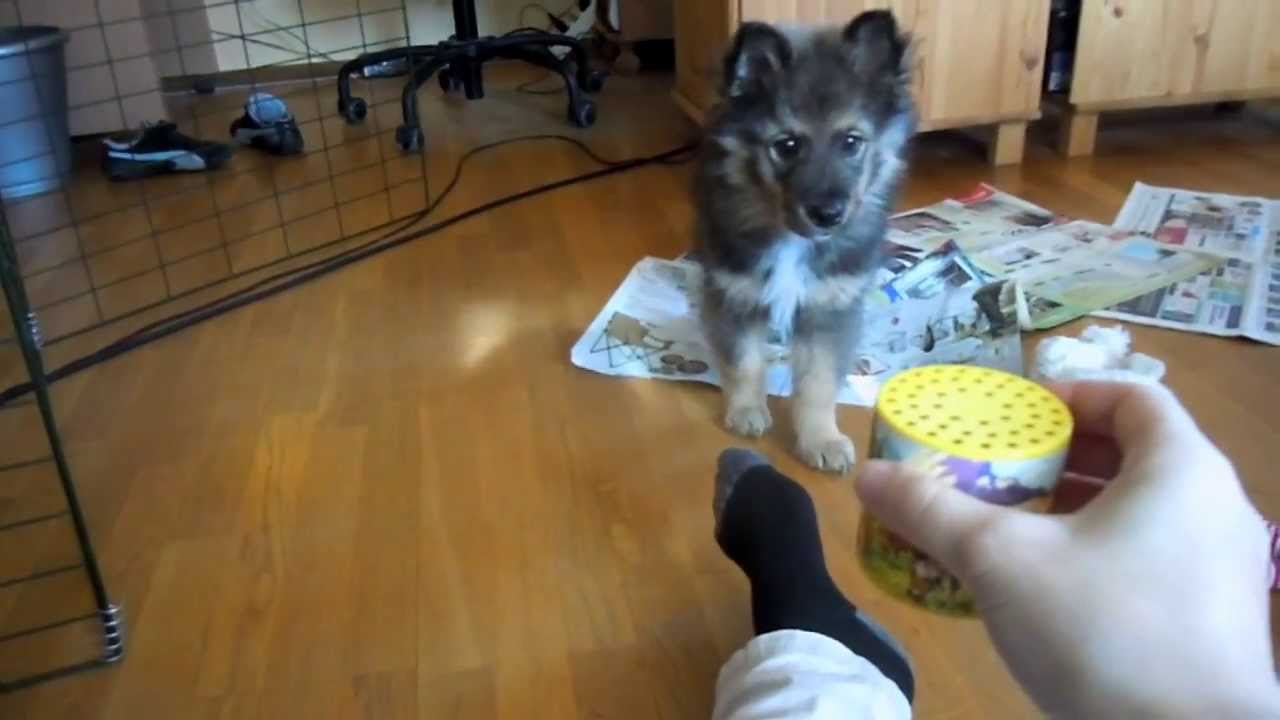 Helios and the moo box - YouTube