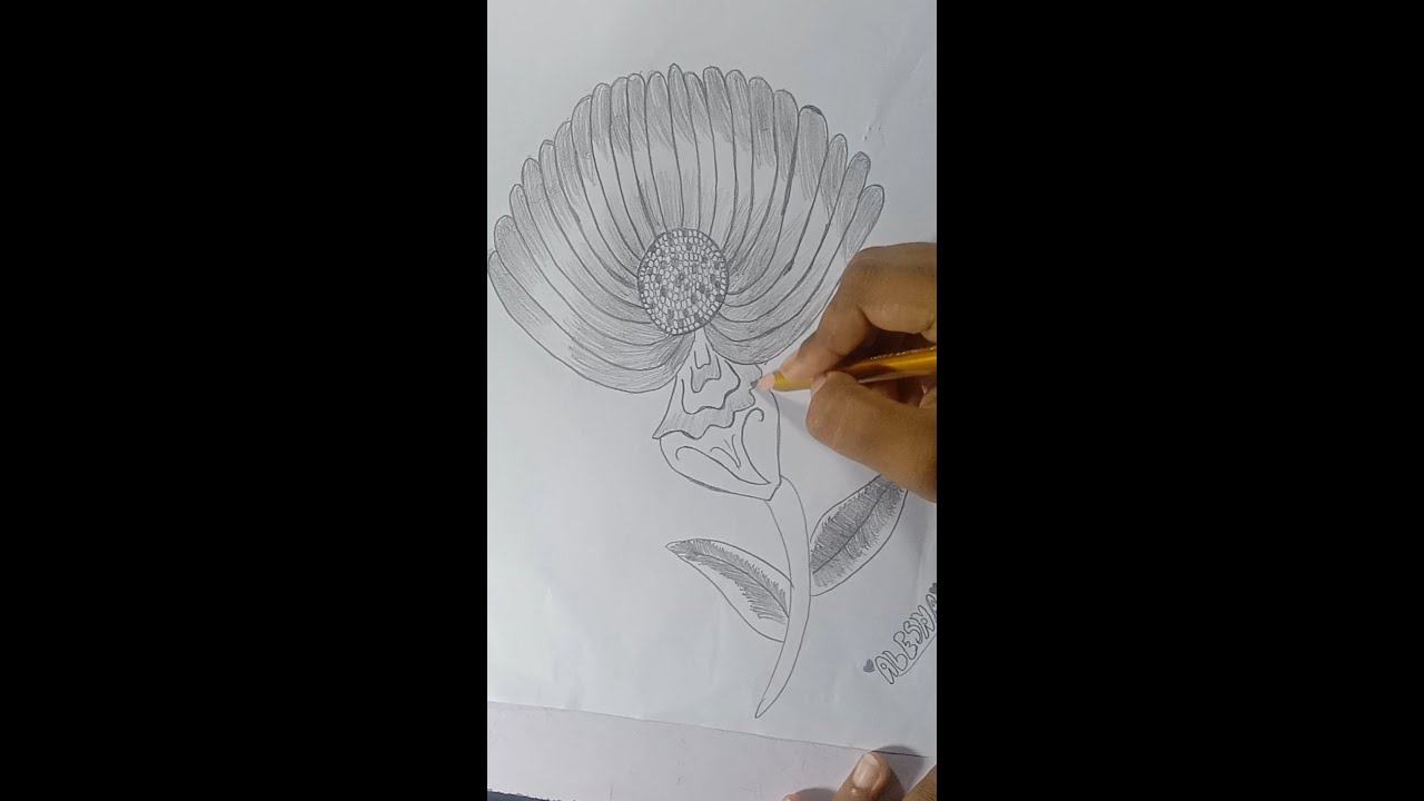 How To Make Different Type Flower With Lead drawing - YouTube