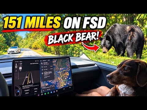 Tesla FSD Drove Us 151 Miles to the Lake… Then We Saw THIS