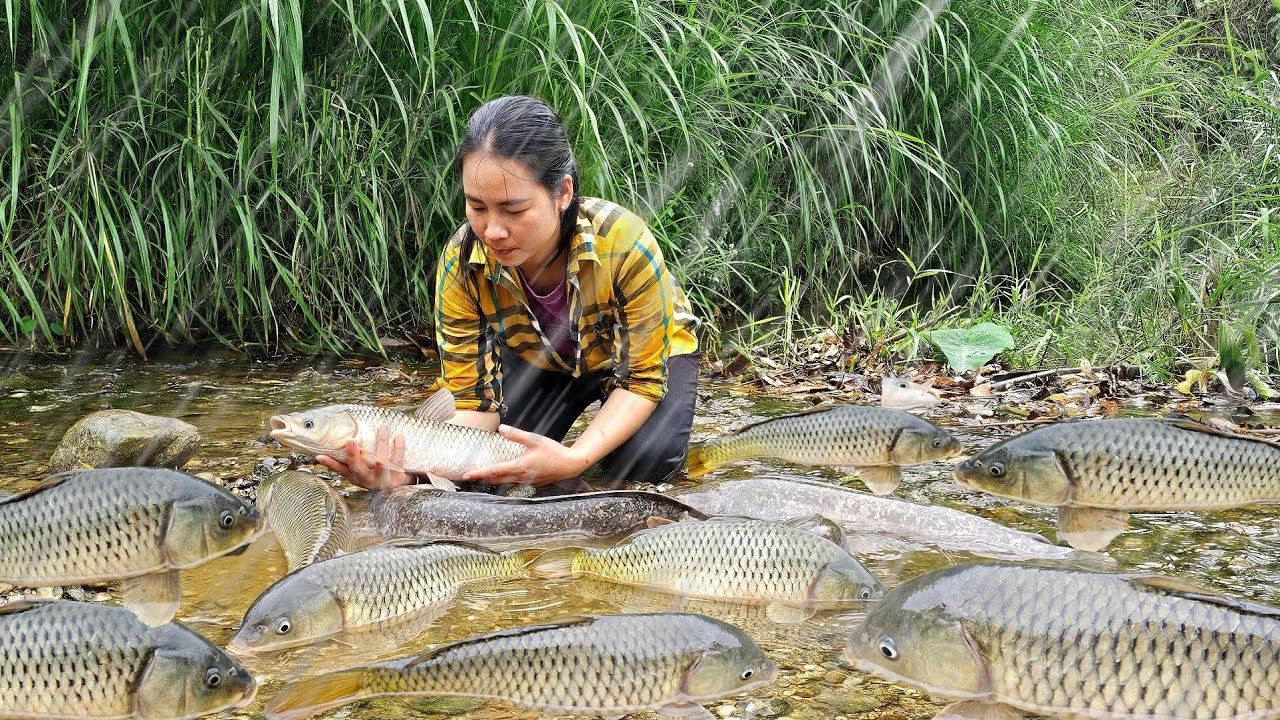 Stormy day Incidentally met school of stray fish,How to catch fish to ...