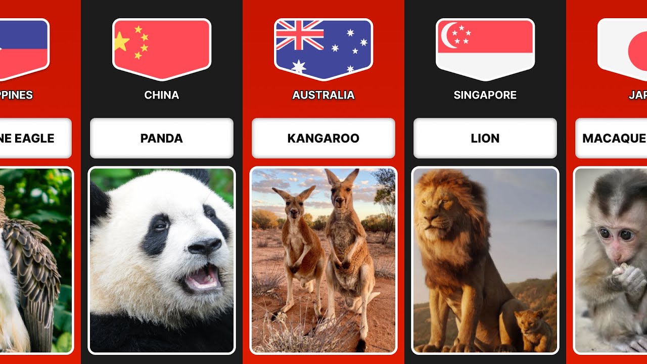 National Animals From Different Countries - YouTube