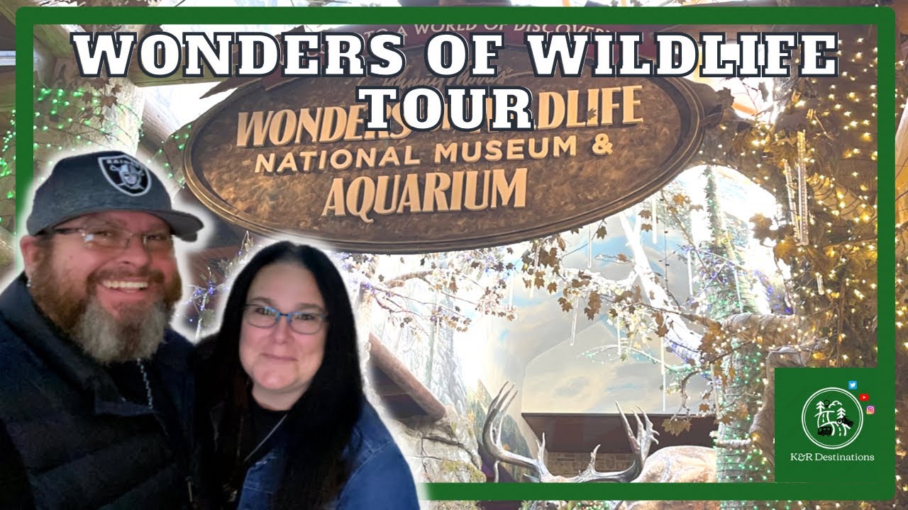 BASS PRO WONDERS OF WILDLIFE NATIONAL MUSEUM & AQUARIUM TOUR - YouTube