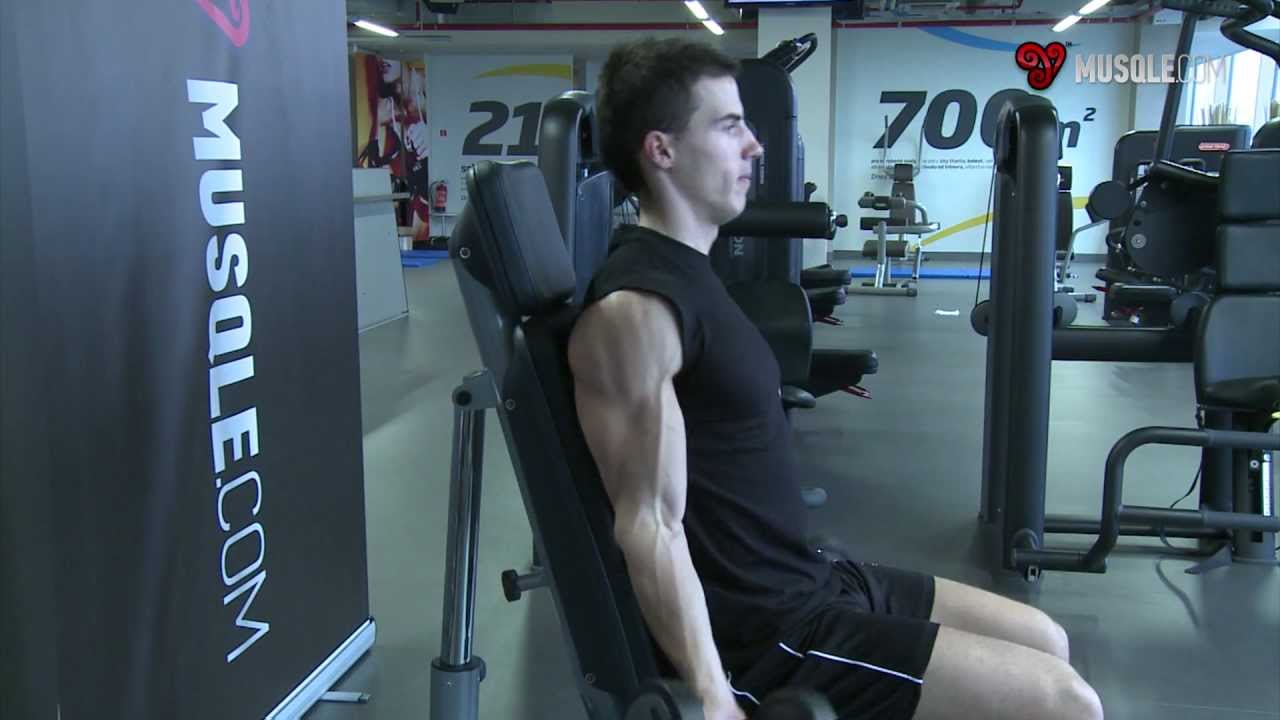 Curl assis partie interne du biceps haltères - YouTube