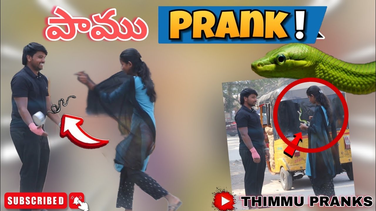 #snake #prank #videos #full #comedy #THIMMU #PRANKS - YouTube
