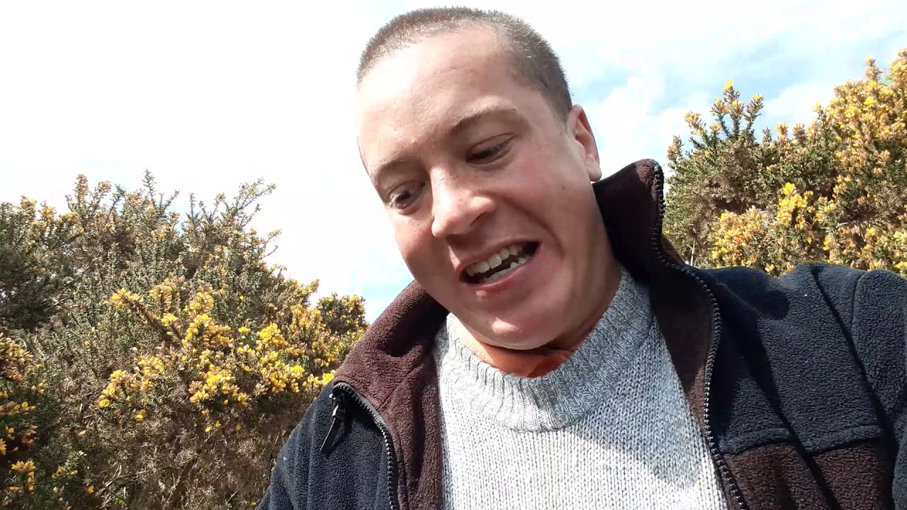 D Rock Rapper - Haters Jealous [Official Music Video] - YouTube