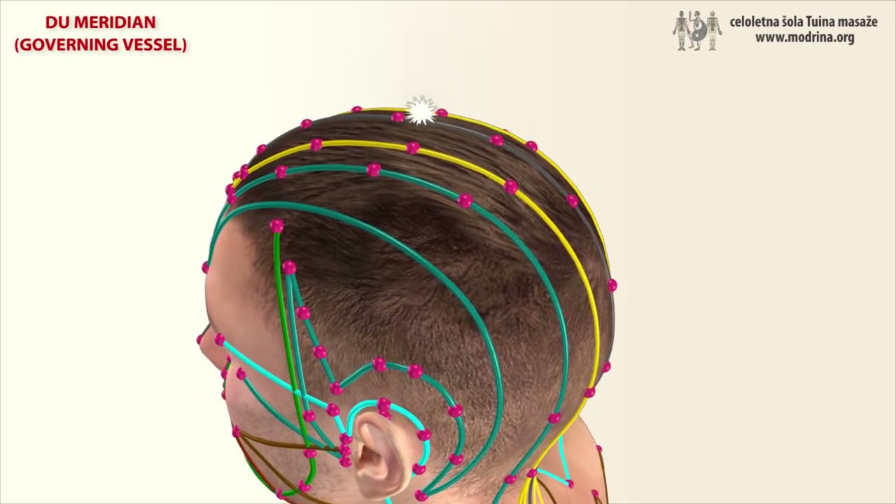 YÖNETİCİ MERİDYEN GOVERNİNG MERİDİAN - YouTube