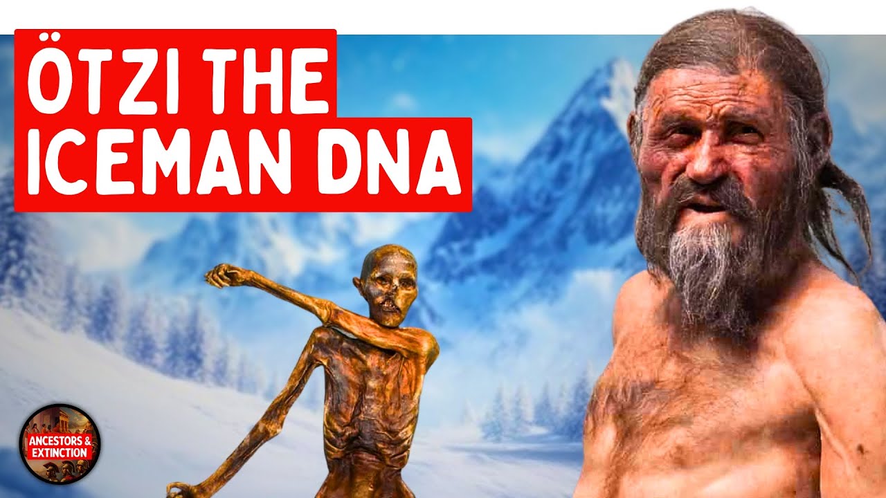 Stunning DNA Discoveries About Ötzi the Iceman That Shocked Scientists ...