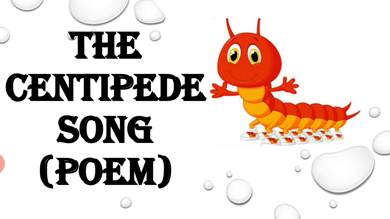Grade 3_The Centipede Song_Poem - YouTube