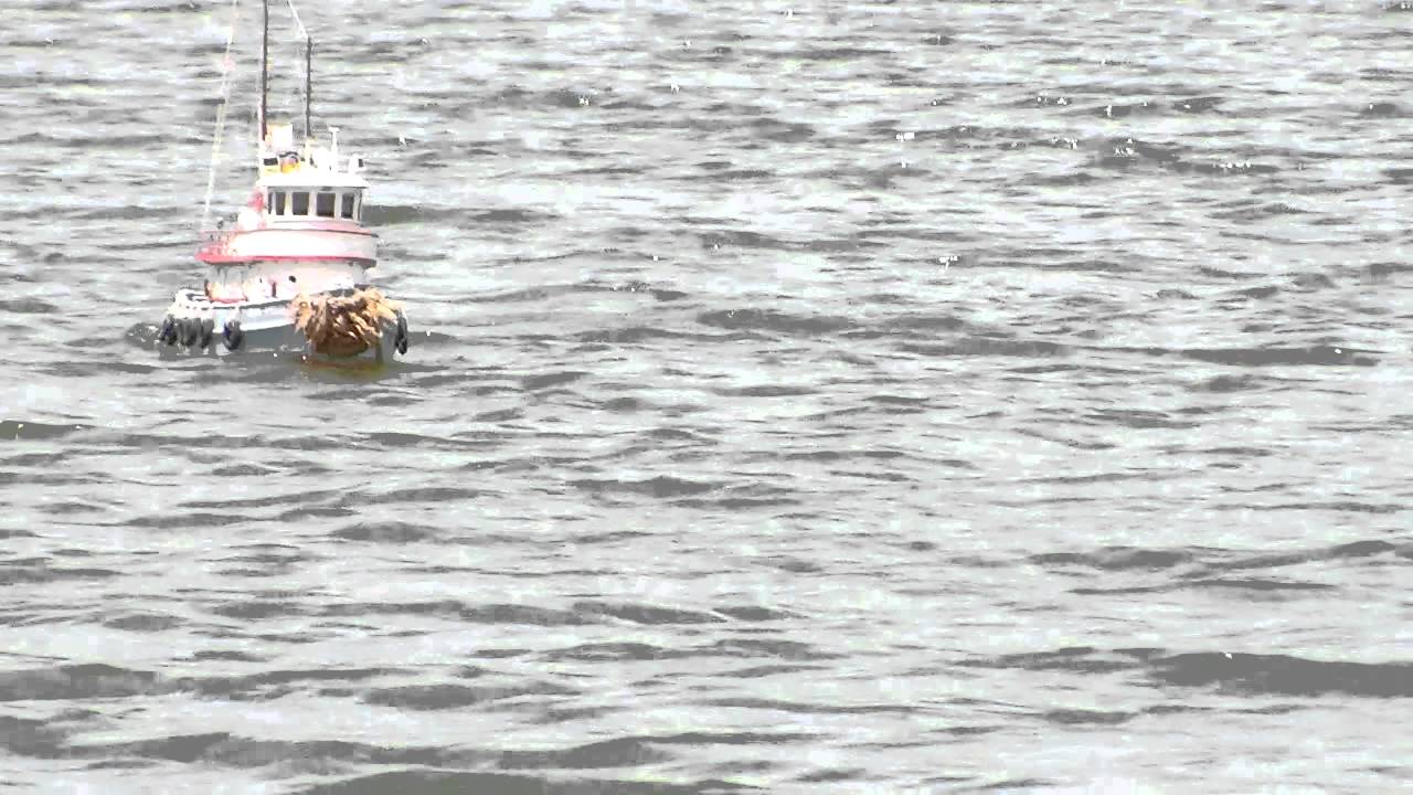 Sail Day HARTMAN DOUGLAS GREG TUG - YouTube