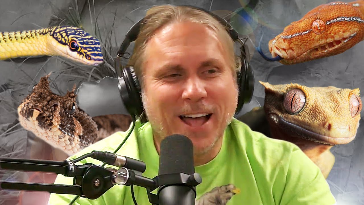Brian Barczyk - Snake Talk!! #10 - YouTube