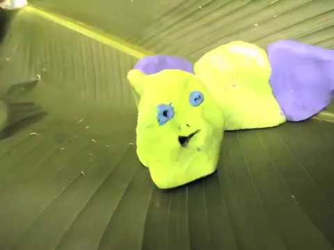 The Very Hungry Caterpillar - Animated Film - YouTube