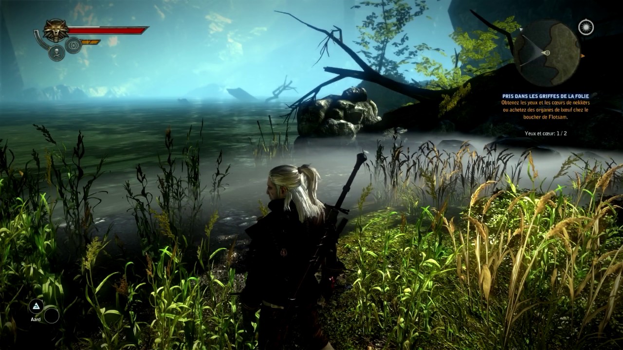 Je fais découvrir The Witcher 2 à Sakura, Ep10. - YouTube