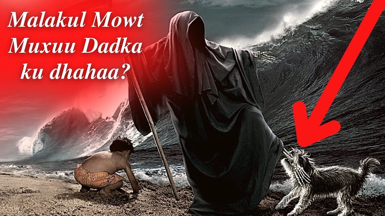 QABRİGA SİDDEE AYEY JİRKU KU NOQDAA MACLUUMAAD BADAN? - YouTube