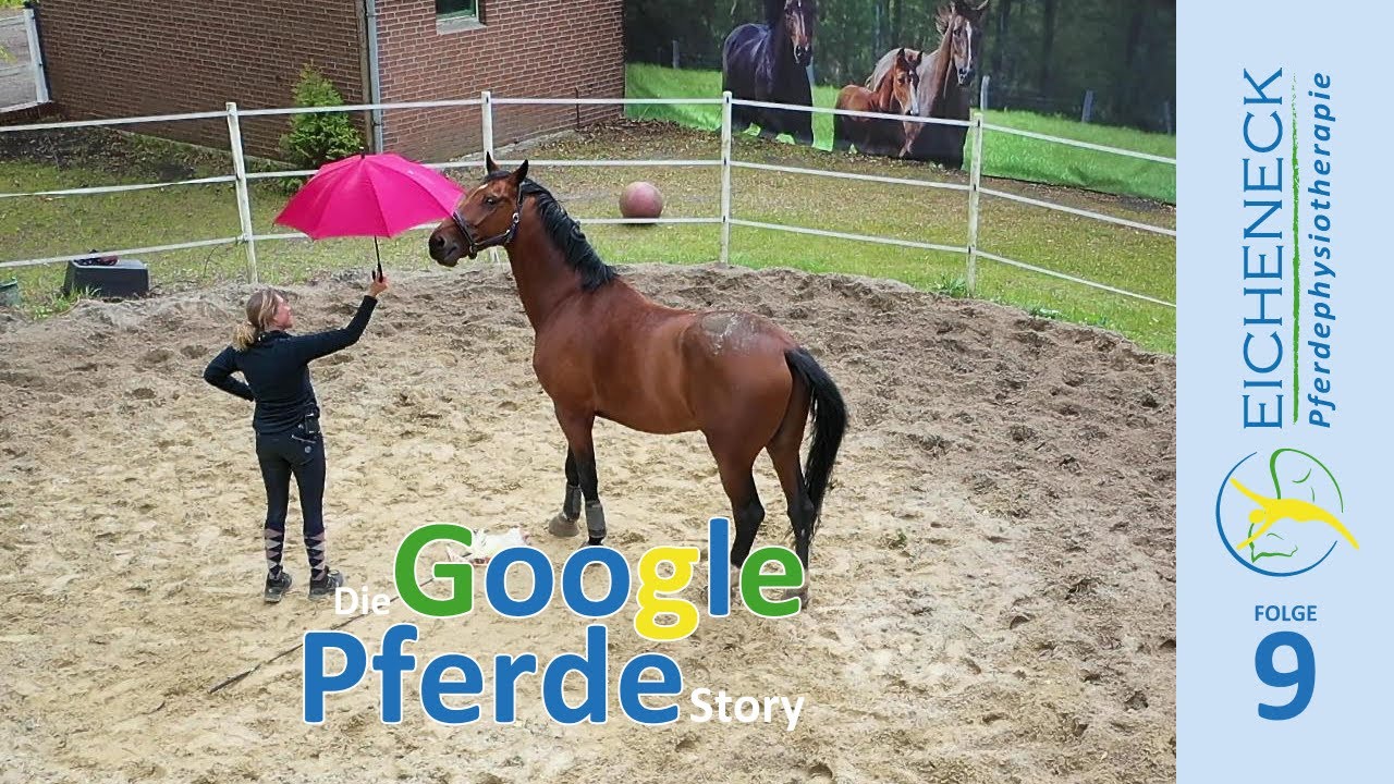 Oh Schreck | Die Google Pferde Strory - Folge 9 - YouTube