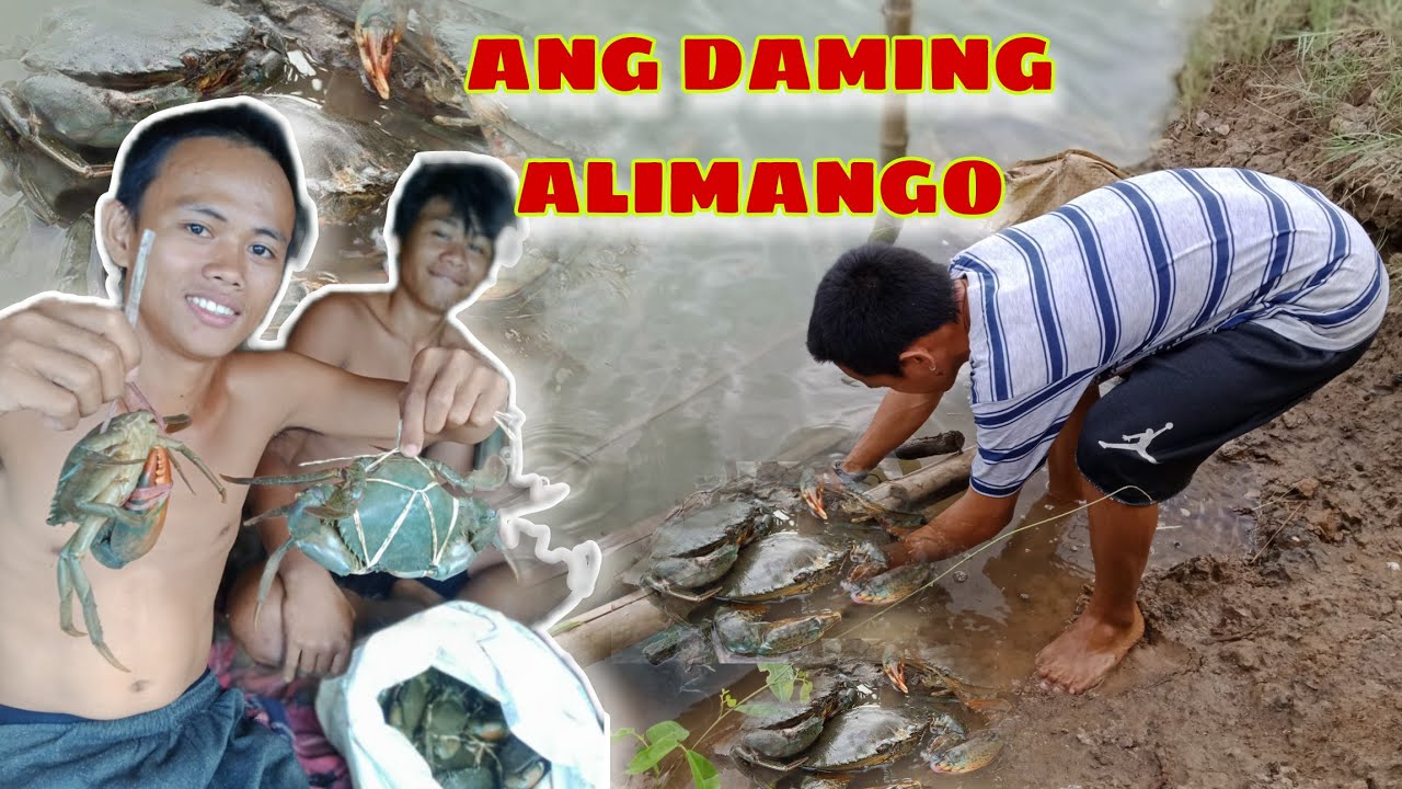 ANG DAMI NAMING HULING ALIMANGO - YouTube