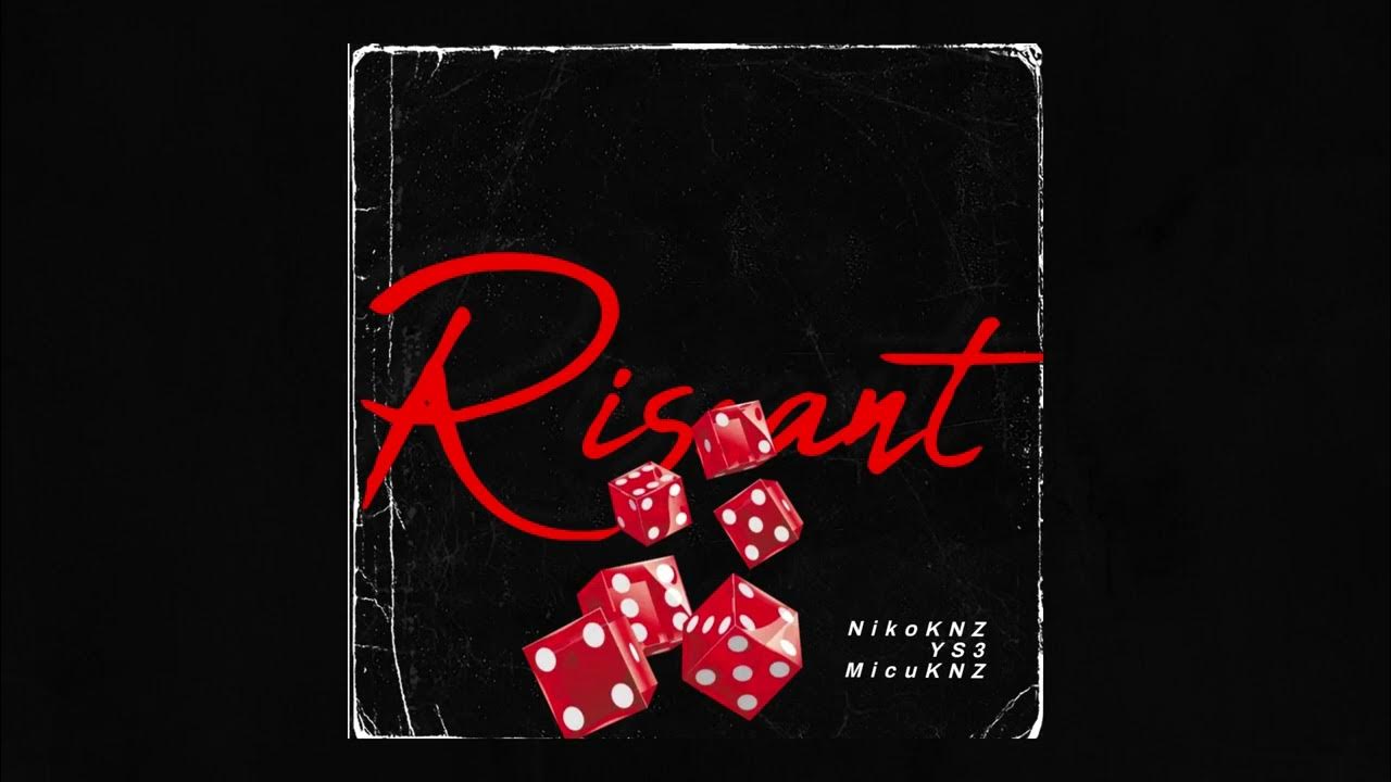 NikoKNZ x YS3 x MicuKNZ - "Riscant" (Official Visualizer) - YouTube