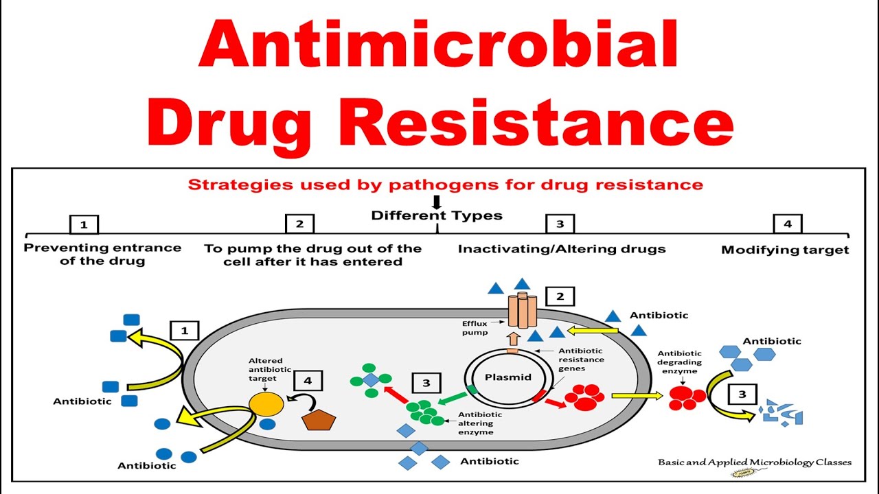 Antimicrobial drug resistance | Overview | Underlying mechanism of drug ...