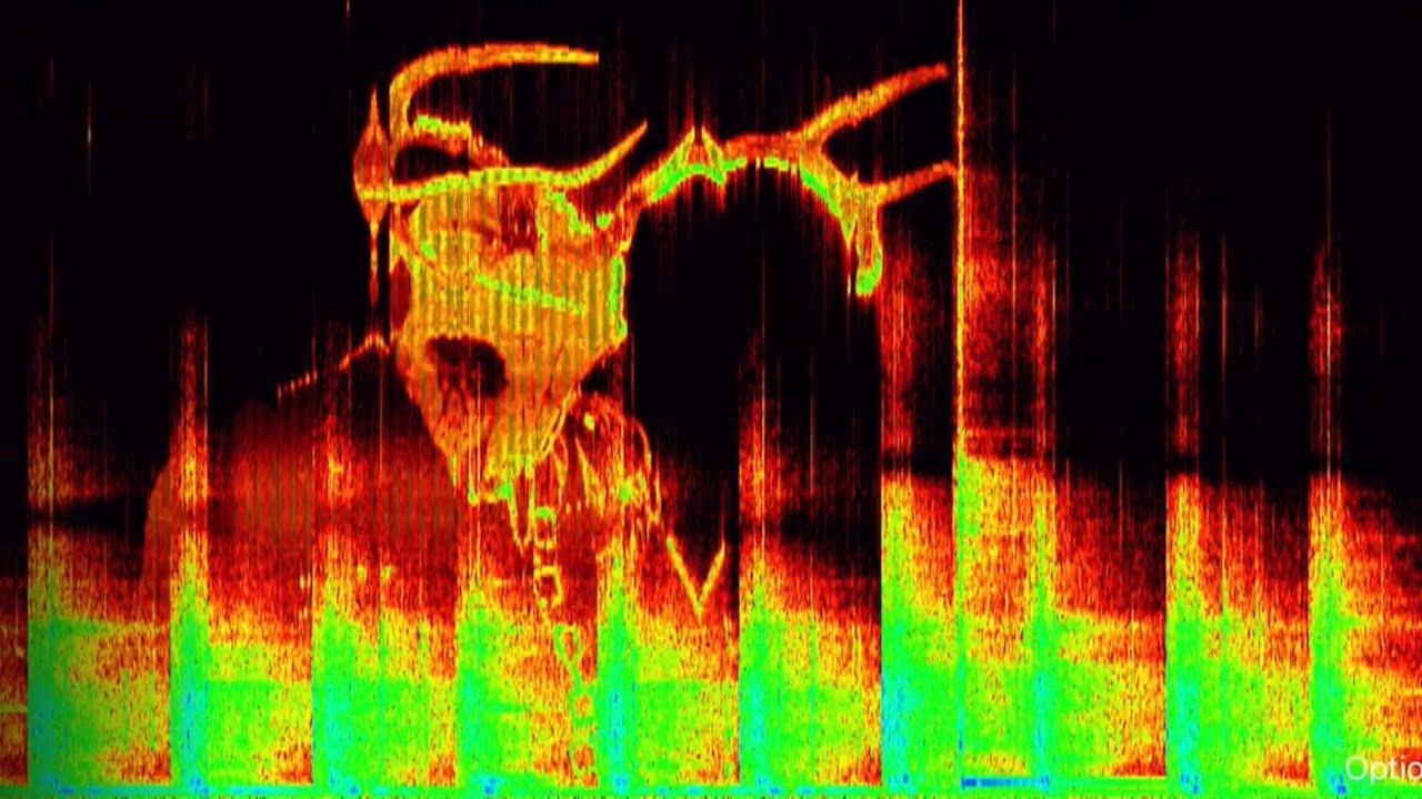 SVDDEN DEATH // VOYD Vol. 2 ~ “Final Act” Easter Egg (Spectrogram ...