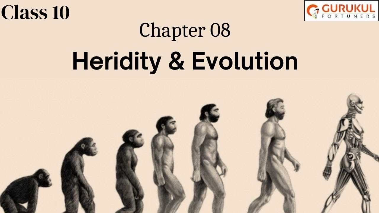 Class 10 CBSE heredity full revision in 2 lectures - basics of genetics ...