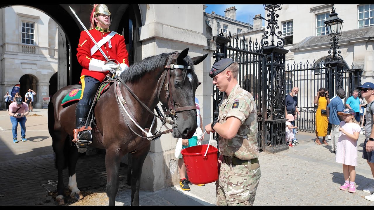 Water for the Royal Steed. 💦 - YouTube