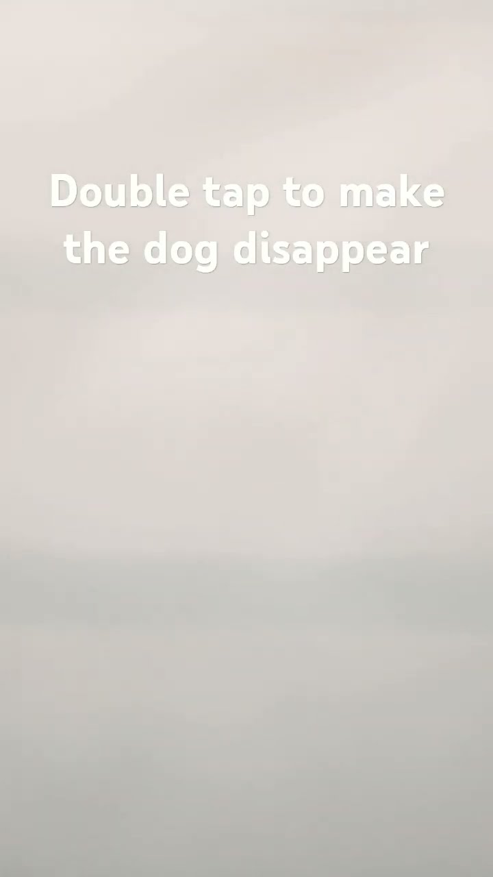 Make the dog disappear - YouTube