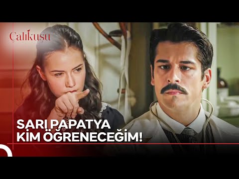 Gözüm Üstünde Kamran Ona Göre! | Çalıkuşu 1. Bölüm