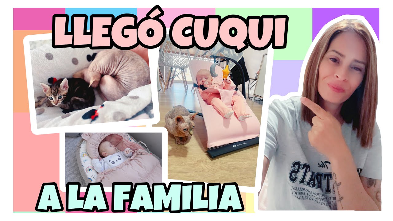 LLEGÓ CUQUI A LA FAMILIA ( PARTE 2)😻 - YouTube