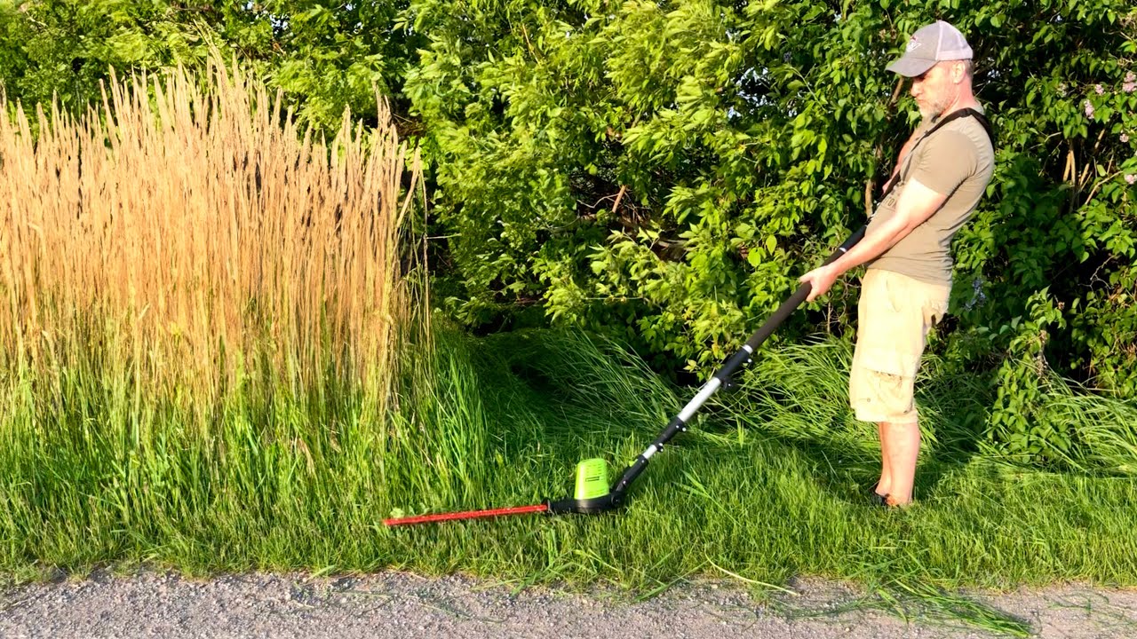 Nature’s Refresh: Cutting Grass, Mowing the Lawn. Transform your ...