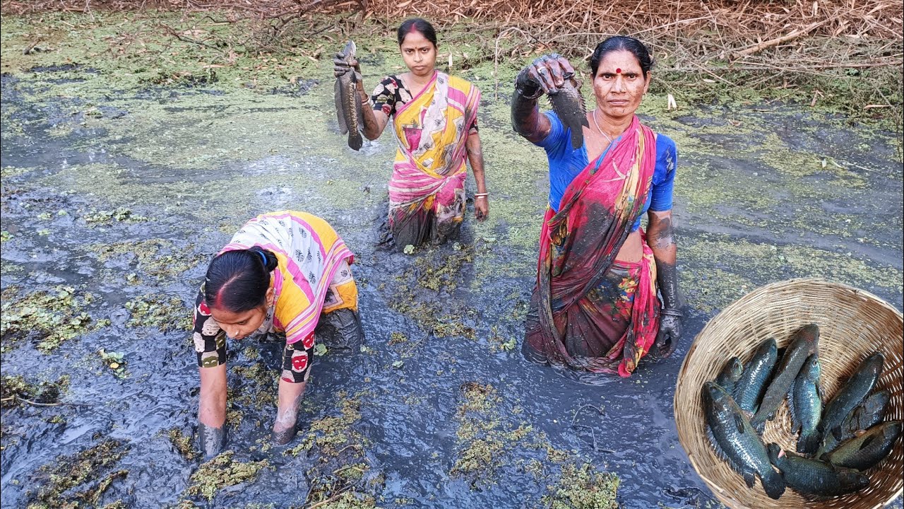 আজ বাড়ির পুকুর ছেঁচেই তো অবাক 😱 ওটা আবার কি পেলাম??? | fish catching ...