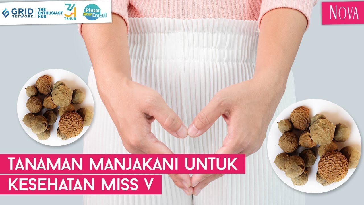 Mengenal Manfaat Manjakani untuk Kesehatan Miss V - YouTube