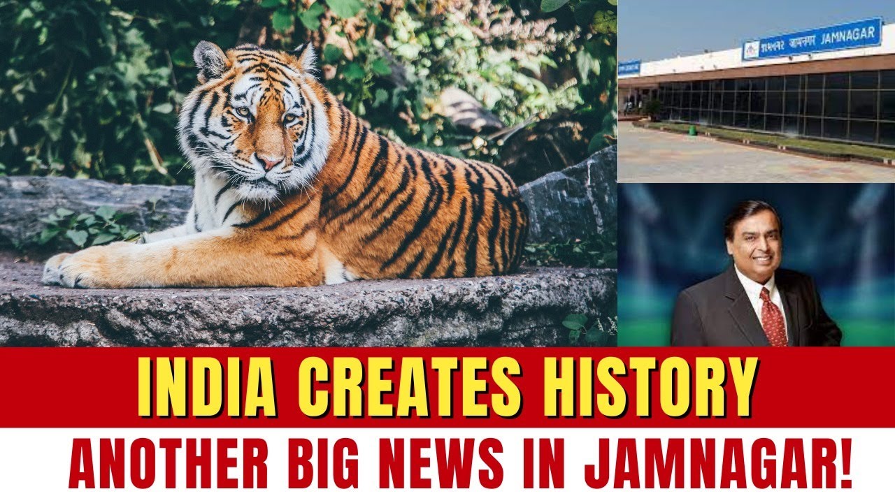 India Creates History: World's Largest Zoo now in Jamnagar | Saral UPSC ...