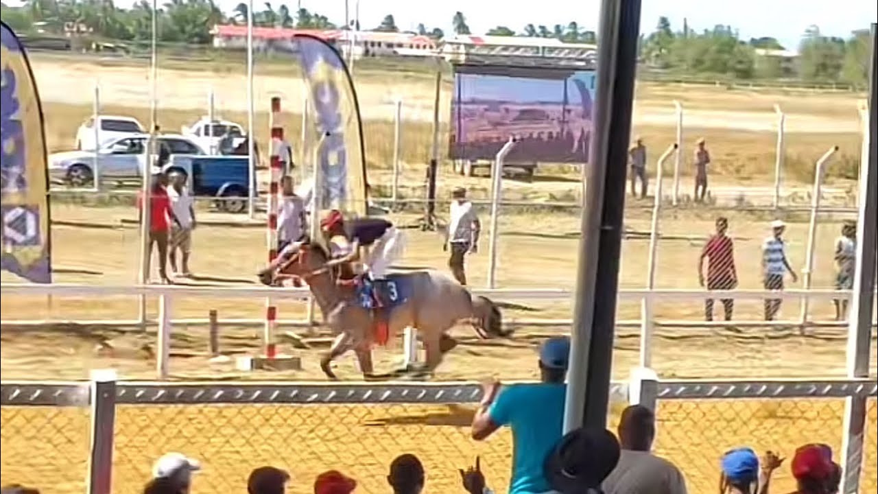 Top Gun Wins Race 1-K Class on December 10th 2023 - YouTube