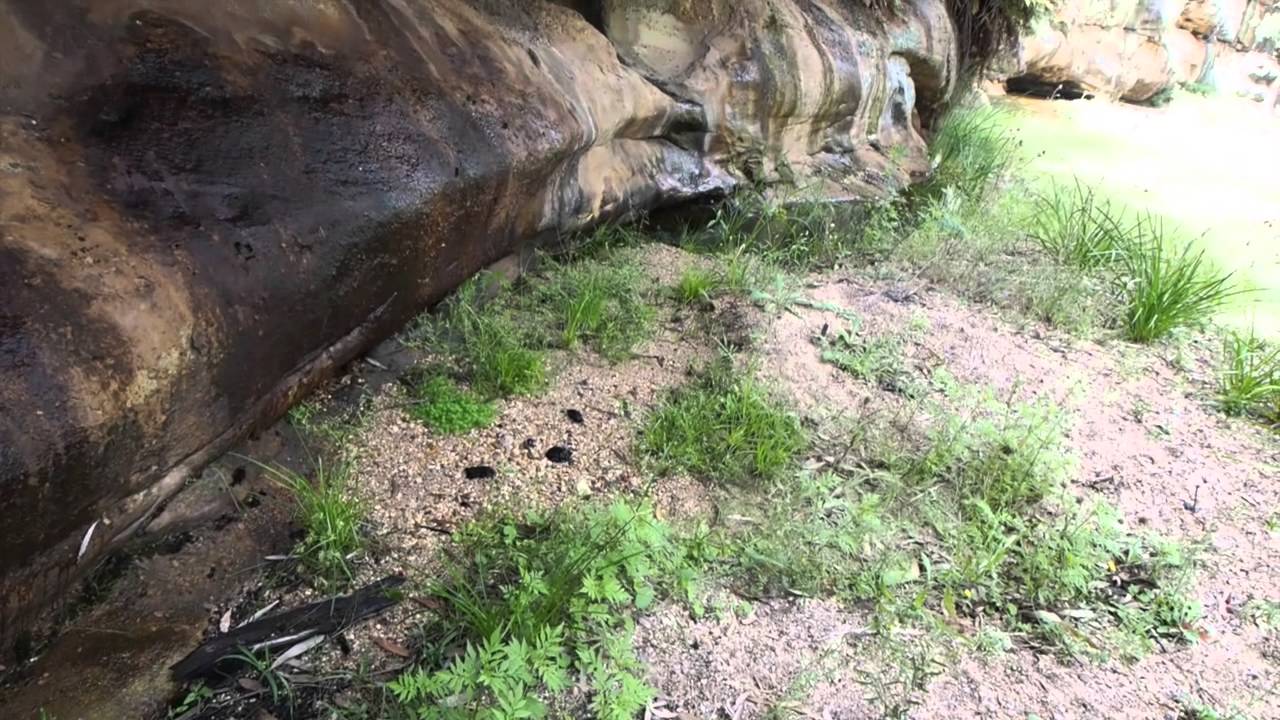 The Drip Gorge - YouTube