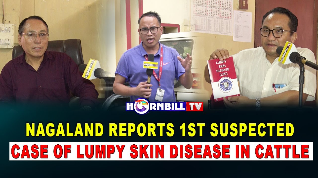 NAGALAND REPORTS 1ST SUSPECTED CASE OF LUMPY SKIN DISEASE IN CATTLE ...