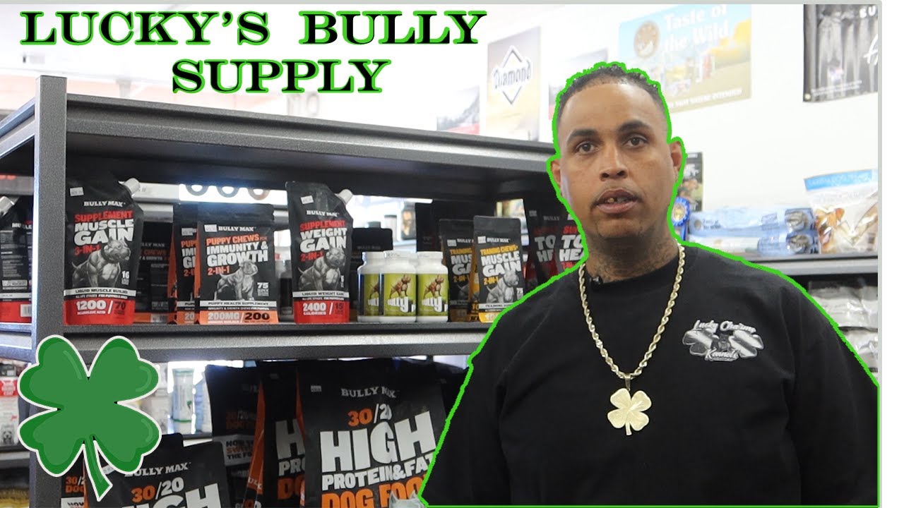 Lucky's Bully Supply Store | Alburquerque , N.M. #americanbullies # ...