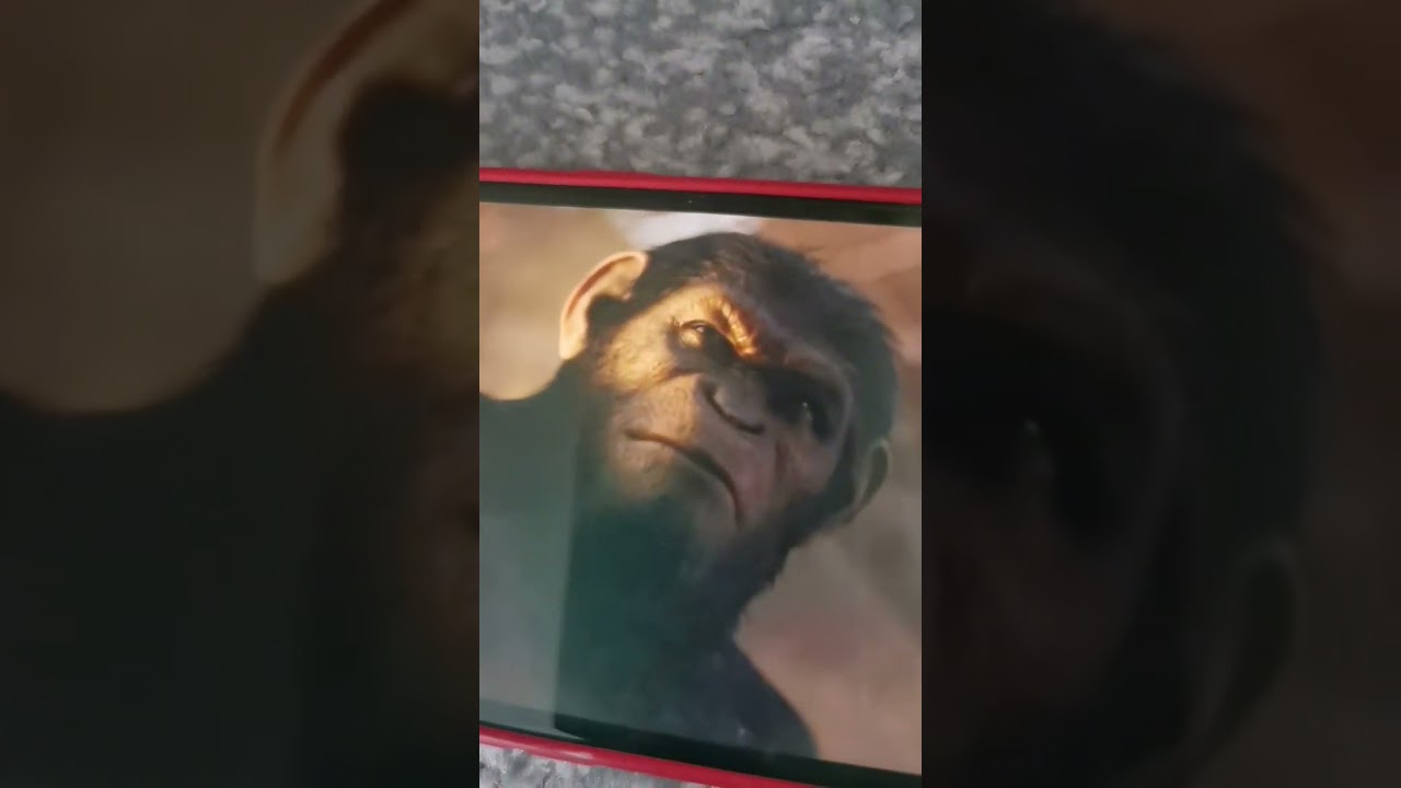 ceaser Vs koba movie dawn of the planet of the apes - YouTube