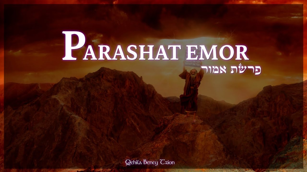 Parashat Emor #31 פָּרָשַׁת אֱמוֹר - YouTube