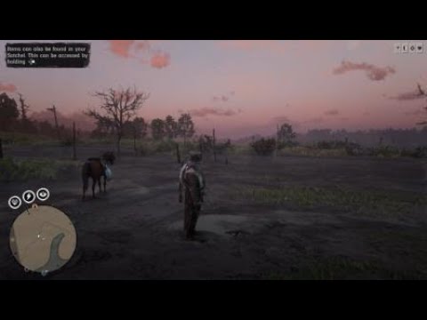Blending Tonics Crafted Of Used RDR2 Daily Challenges Naturalist ...