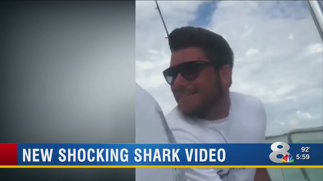 2nd shocking shark abuse video being investigated by FWC - YouTube
