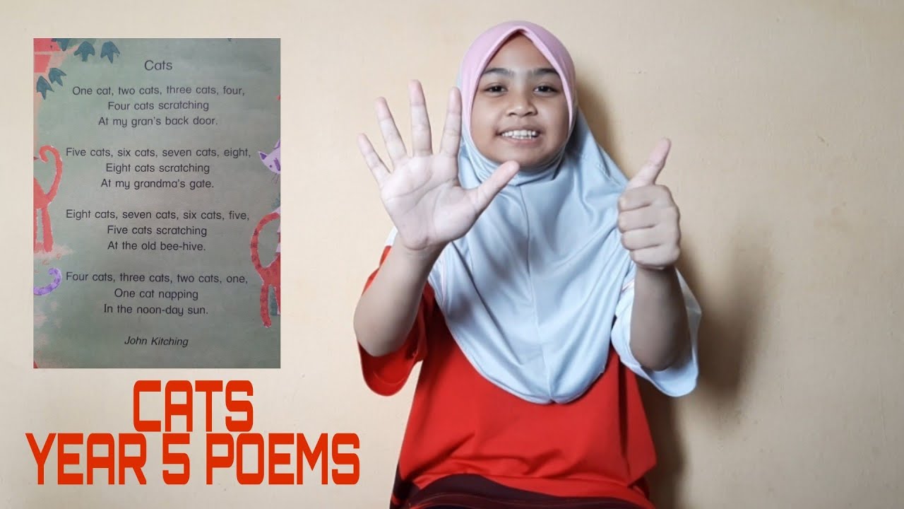 Cats by John Kitching for English Year 5 - YouTube