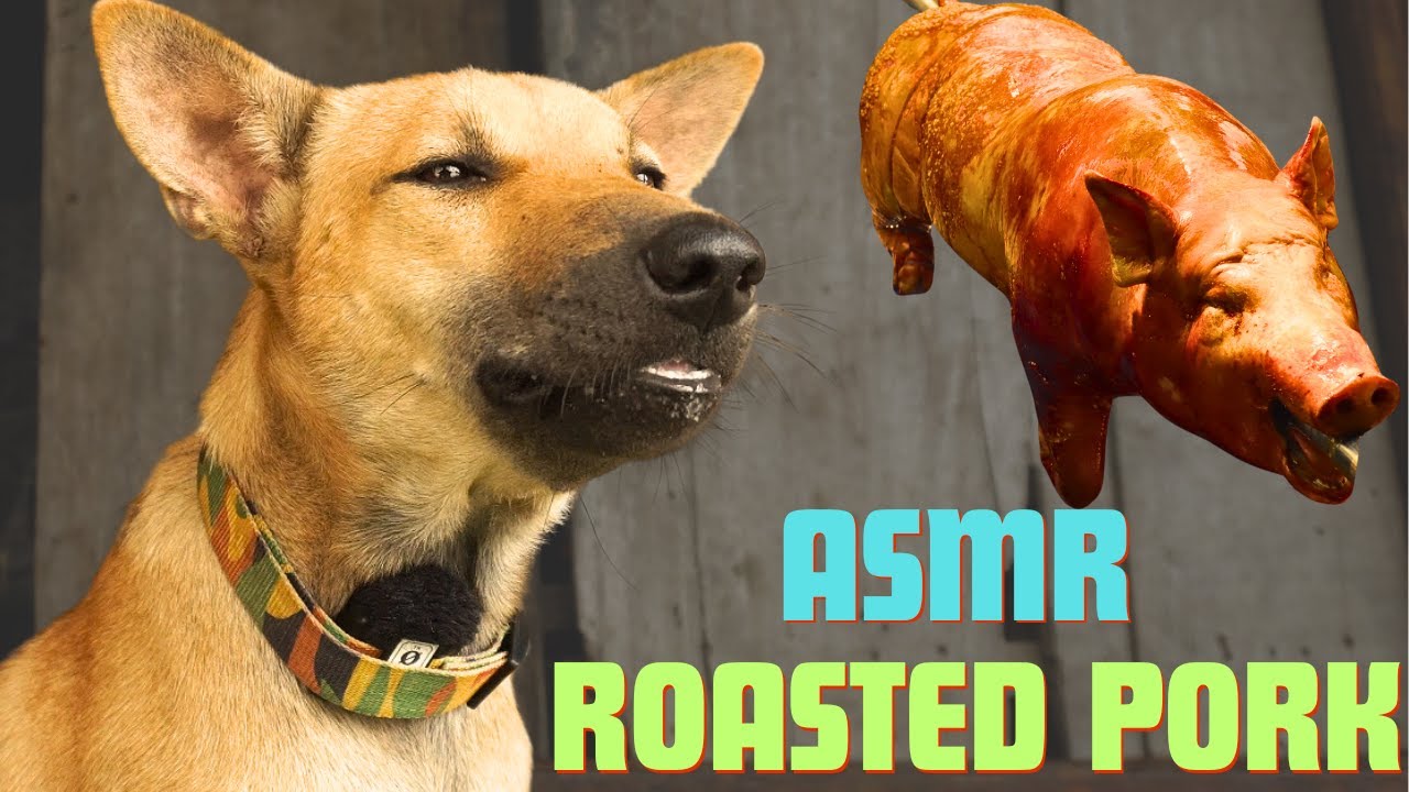 MUKBANG + ASMR Country Dog Mukbang Satisfying - Eating animal organs ...