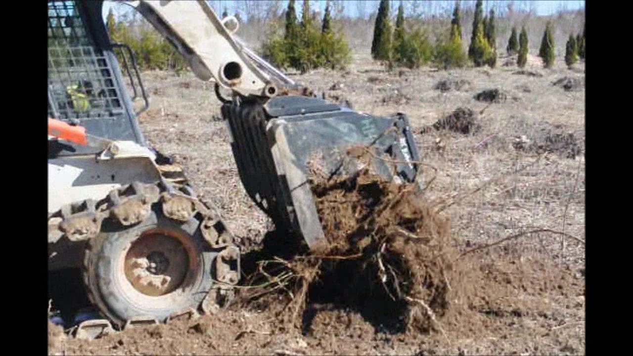 Tree Farm Field Clearing Removal of Stumps - YouTube