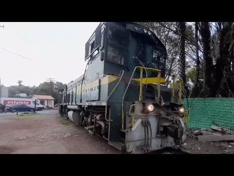 FTVM 9817 - 9812 Servicio Julia a Polanco Línea C Parte 3 - YouTube