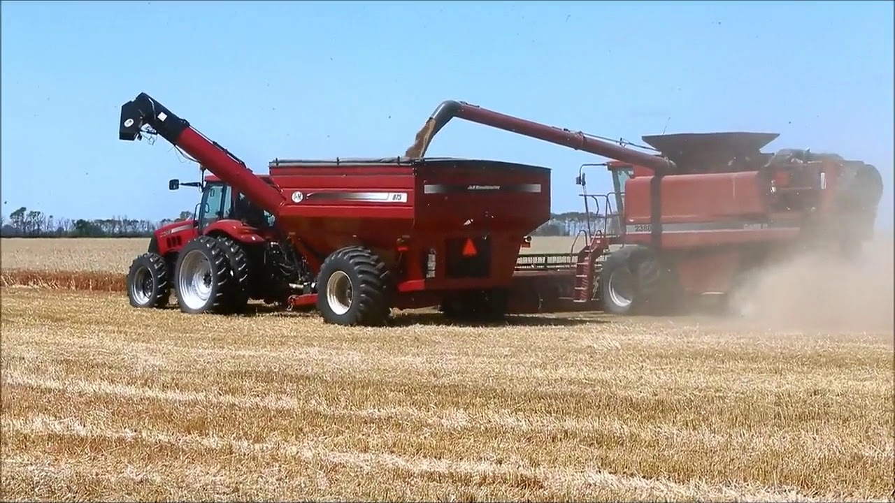 Combines appearing in fields around the area for early harvest - YouTube