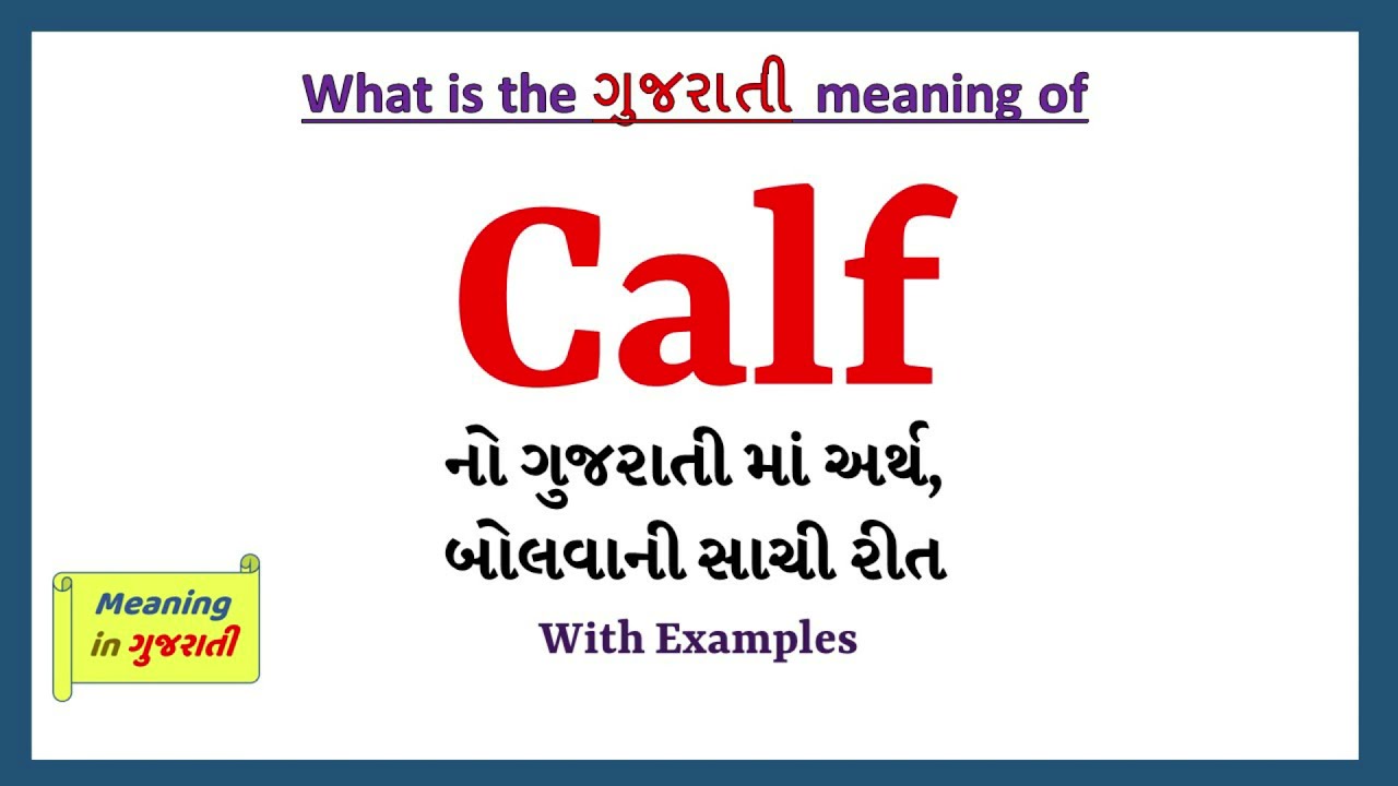 Calf Meaning In Gujarati Calf Calf In Gujarati Calf Meaning In Gujarati Calf Calf In Gujarati