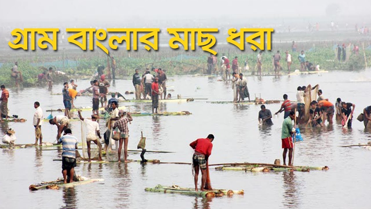 Amazing Fish Catching Village | Traditional Hand Fishing | Village ...
