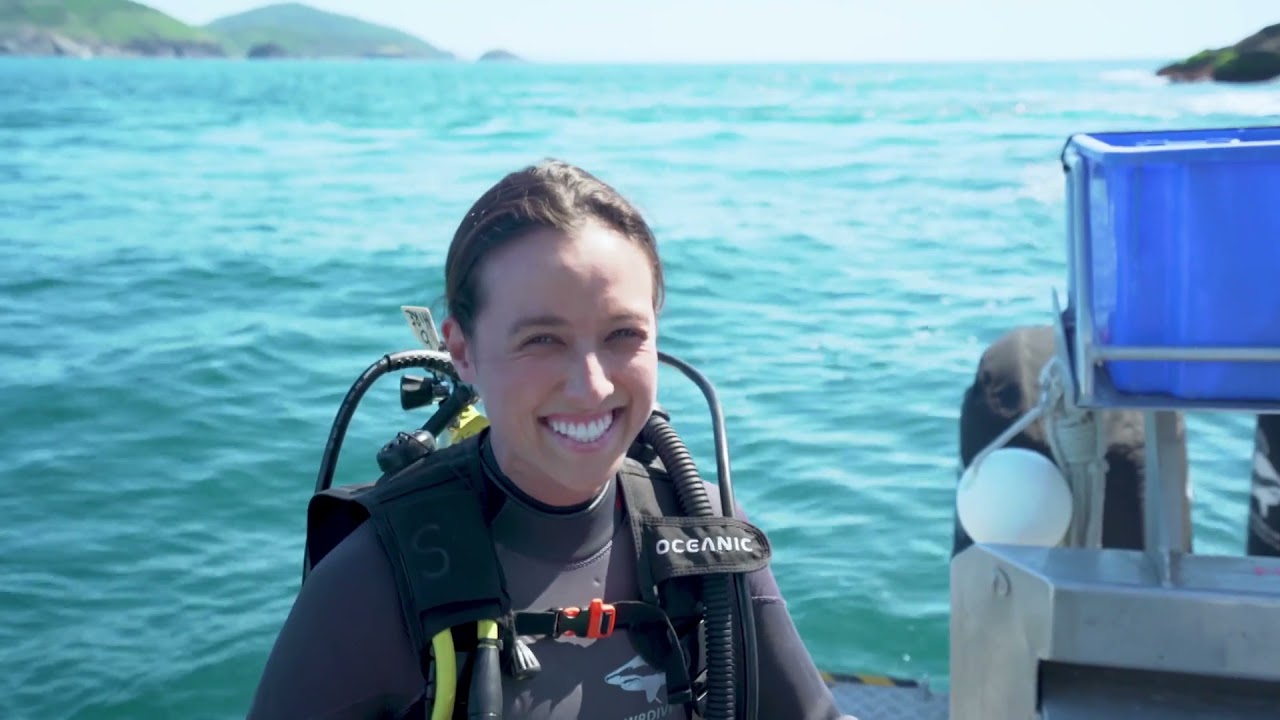 Fish Rock Cave Diving at South West Rocks | Close Encounters with ...