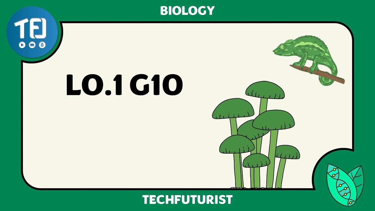 LO1 Biology - G10 S1 STEM - YouTube