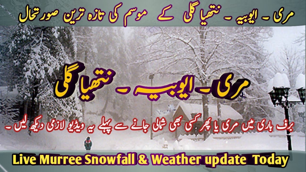 Latest Murree snowfall & weather update - Murree live today - Murree ...